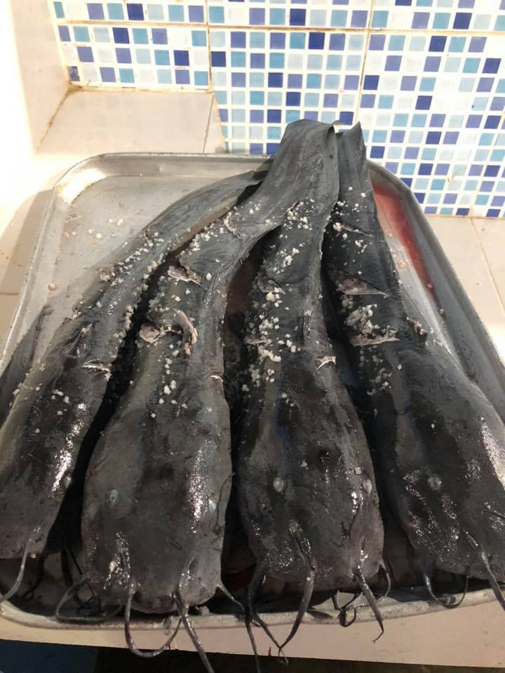 Things to Do: Aquaculture and Farm Tourism Experience at SIGUIN ...